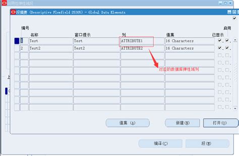 Ebs描述性弹性域及键弹性域总结 键弹性域是什么意思 Csdn博客