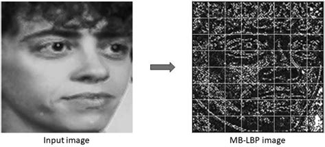 Visualization Of The Mb Lbp Image Download Scientific Diagram