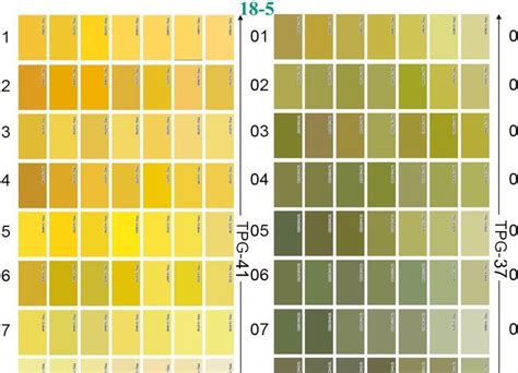 Pin By Designer Yuvraj Mo No 63518 On Pantone Color Swatch Pantone Color Combos