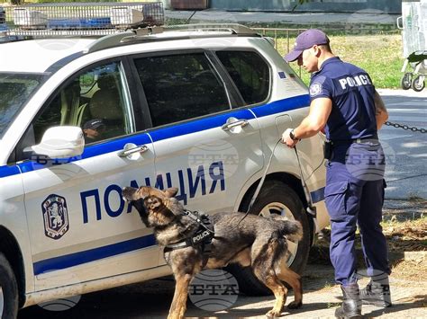 Крадени автомобили са открити в сливенското село Гавраилово Утро