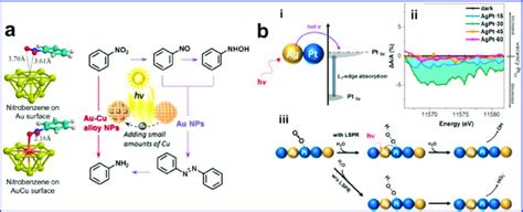 Hot Electron Transfer In Plasmonic Alloy Nanostructures A Strong