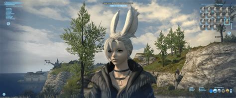 5 New Hairstyles For Bunny Girls Rffxiv 5 New Hairstyles For Bunny Girls Rffxiv