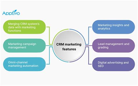 CRM CX Understanding The Distinction