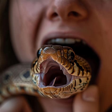 Premium Photo Woman Holding Snake In Her Mouth