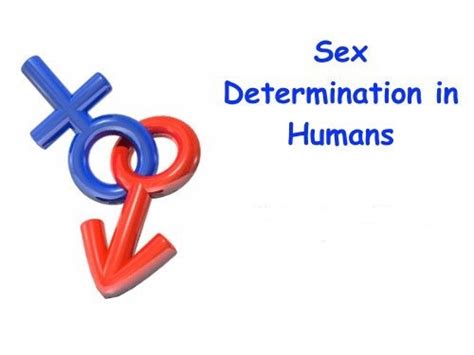 K Proshev Наследување на полот Ix одд