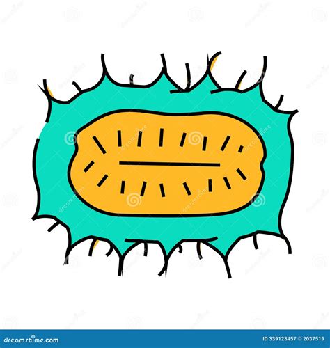 Anguria Cucumber Icon Color Illustration Cartoon Vector Cartoondealer