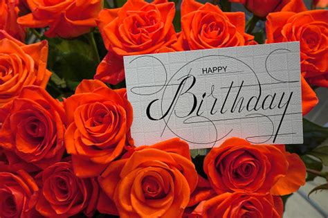 엽서 생일 인사말이 있는 인터넷 배너 비문 생일 축하 축하 메모가 있는 꽃다발 기념일에 대한 스톡 사진 및 기타 이미지 기념일 꽃 식물 낮 Istock