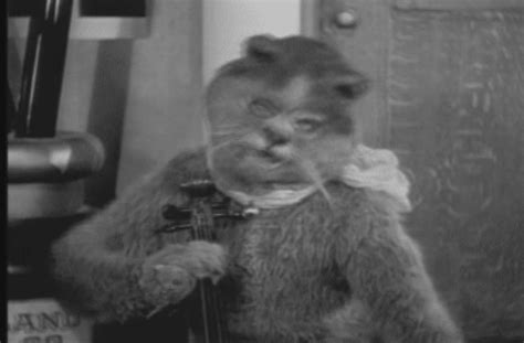 Hep Cat  On Imgur