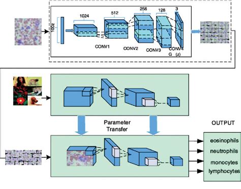Figure 1 From Exploiting Convolutional Neural Networks For Automated