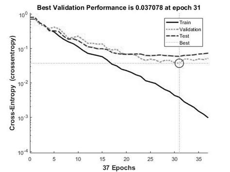 Training Validation Performance Download Scientific Diagram