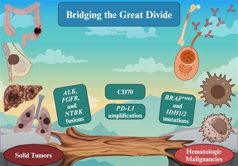 If It Is A Solid Tumor Target Then It May Be A Hematologic Cancer