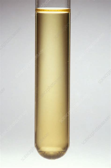 Dissolution In Hcl 3 Of 3 Stock Image C0033480 Science Photo Dissolution In Hcl 3 Of 3 Stock Image C0033480 Science Photo