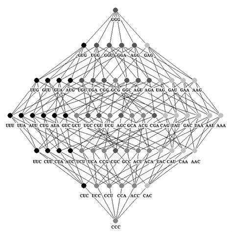 The Hasse Diagram Of The Genetic Code Boolean Lattice Each Grayscale
