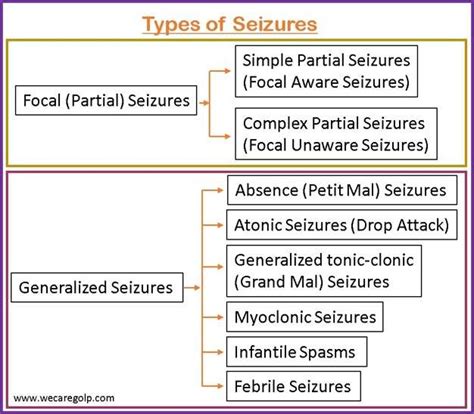 Generalized Seizure Neurosciences Epilepsy And Seizures