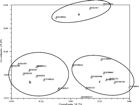 Mds Of Ssr Marker Analysis Across 22 Cultivated Groundnut Genotypes