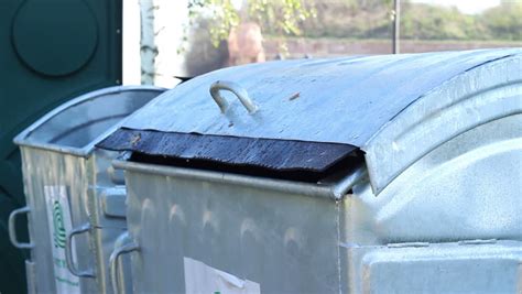 Man Throwing Garbage Public Dumpster Large Stock Footage Video Royalty Free