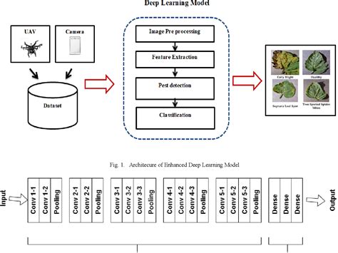 Figure 1 From An Enhanced Deep Learning Model For Tomato Leaf Disease Prediction Semantic Scholar
