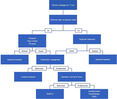 Algorithm For Treatment Of Chronic Orchialgia Rmscd Robotic Assisted Download Scientific