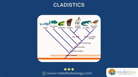 Cladistics Best Biology Notes Reference Articles