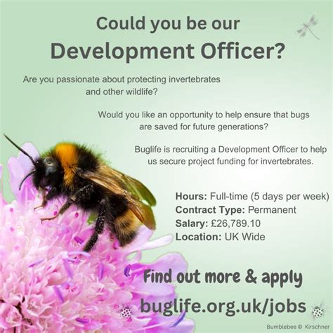 Buglife On Linkedin Jobsatbuglife Opportunity Joinourteam Bugsareamazing Lovebugs