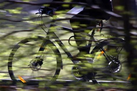 Vaccine Center Nyu Langone Health