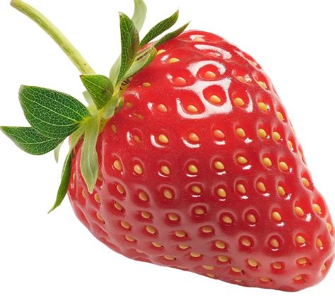 봄의 건강 비결 3월 제철 식재료의 놀라운 효과 네이버 블로그