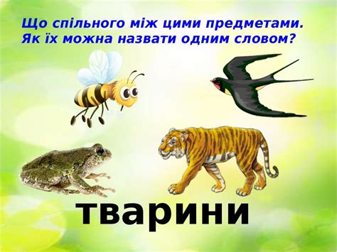 Презентація Тварини в природі до уроку Я досліджую світ 2 клас за підручником Н М Бібік