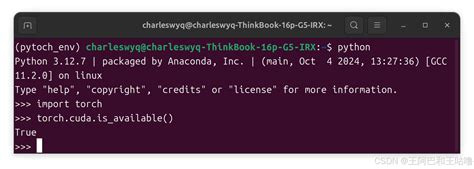 【ubuntu2404】ubuntu2404安装pytorch Gpuubuntu Pytorch Csdn博客