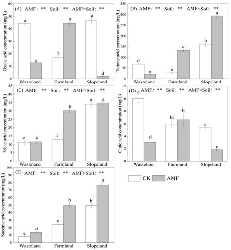 Effects Of Amf On Low Molecular Weight Organic Acid Concentrations