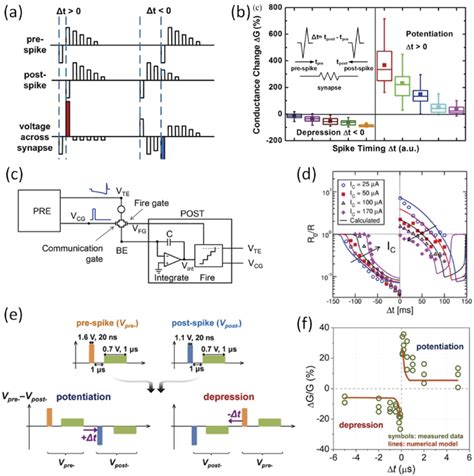 Schemes For The Implementation Of The Stdp Rule Using The Overlap