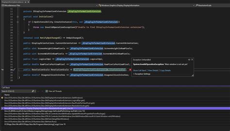 skia crashes with `systemvalidoperationexception main window is