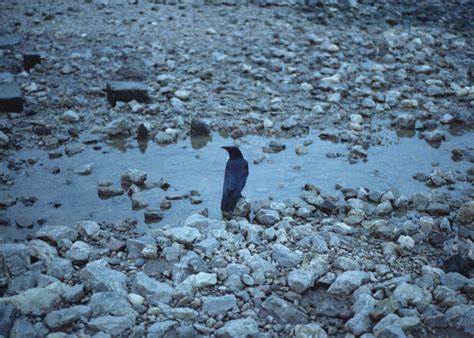 Cameron Williamson Grace Phases Magazine