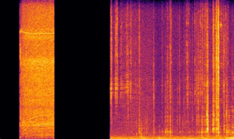 Learning Source Disentanglement In Neural Audio Codec