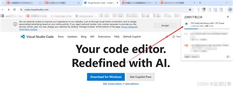 Vscode Cline 插件快速接入 Deepseek Api，提升本地深度学习效率cline接入deepseek Csdn博客