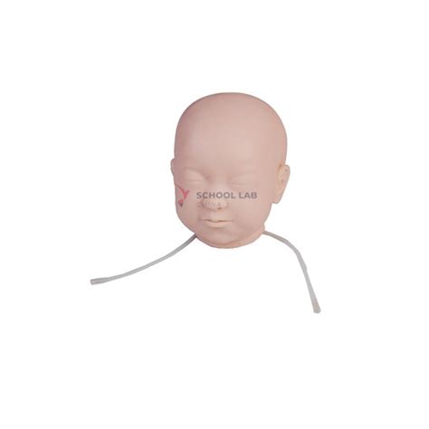 Advance Infant Scalp Venous Injection Model Manufacturers Suppliers And Exporters