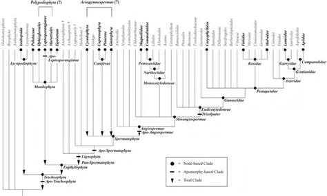 Land Plant Phylogeny Plant Evolution An Overview Sciencedirect