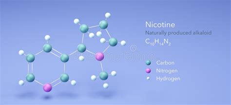Structural Formula Nicotine Stock Illustrations 71 Structural Formula