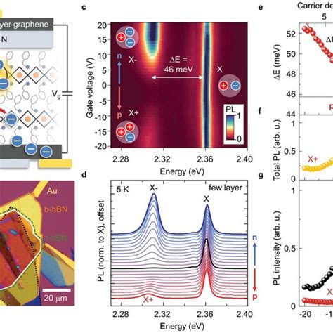 Spatially And Time‐resolved Trion Diffusion A Schematic Illustration Download Scientific