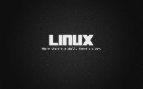 Linux系统 Too Many Open Files解决方法 知乎