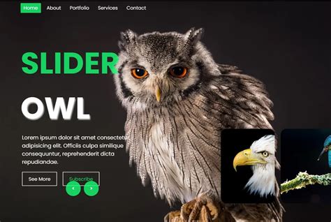vanilla js carousel slider with modern look and auto play css script