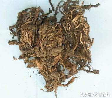 農村中草藥圖譜61 每日頭條