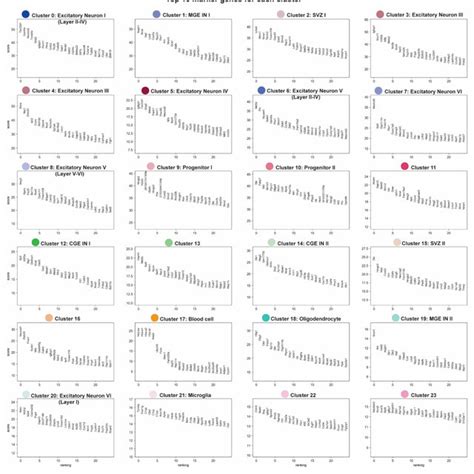 Figure Supplement Top Ranked Marker Genes For Each Cluster Each Download Scientific