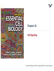 4 Cell Signaling Pdf Chapter 16 Cell Signaling Essential Cell Biology Fifth Edition Copyright