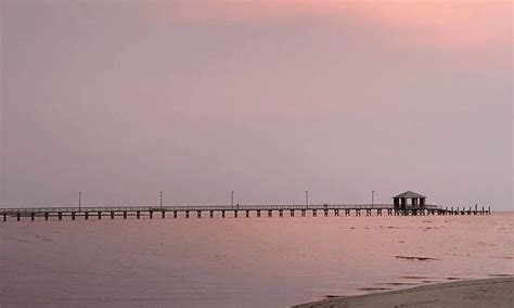 Flox Nix Pure Genius