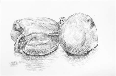 Cross Hatching Still Life By XxSoaringHeartxX On DeviantArt Cross Hatching Still Life By XxSoaringHeartxX On DeviantArt