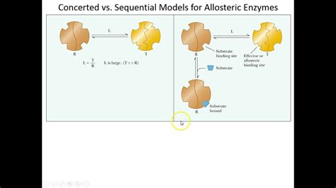 Sequential Model Of Treatment At Ruby Hereford Blog