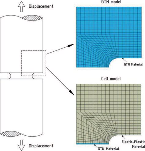 scheme of gtn and cell numerical models download scientific diagram
