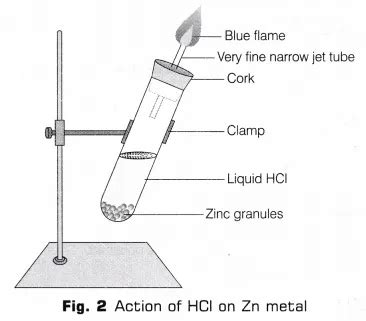 Cbse Class Science Lab Manual Properties Of Acids And Bases Artofit