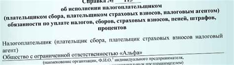 Как получить справку по форме КНД 1120101 Время бухгалтера