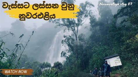 මේකනම් දිය ඇලි පාරාදිසයක් 🌿 සුද්දොත් එක්ක Loversleap ගියා Waterfall Hunting Srilanka Youtube